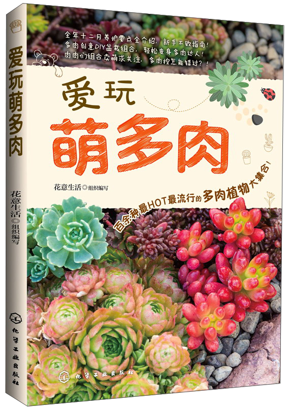 爱玩萌多肉