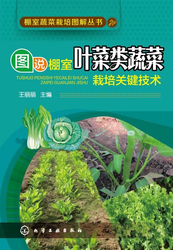 棚室蔬菜栽培图解丛书 图说棚室叶菜类蔬菜栽培关键技术