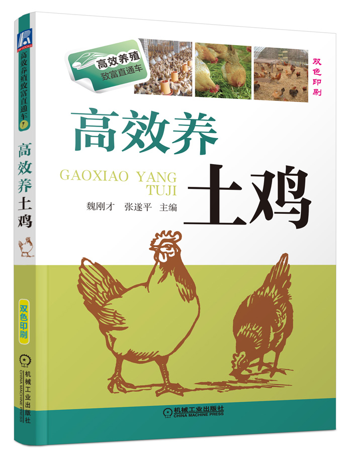 高效养殖致富直通车：高效养土鸡