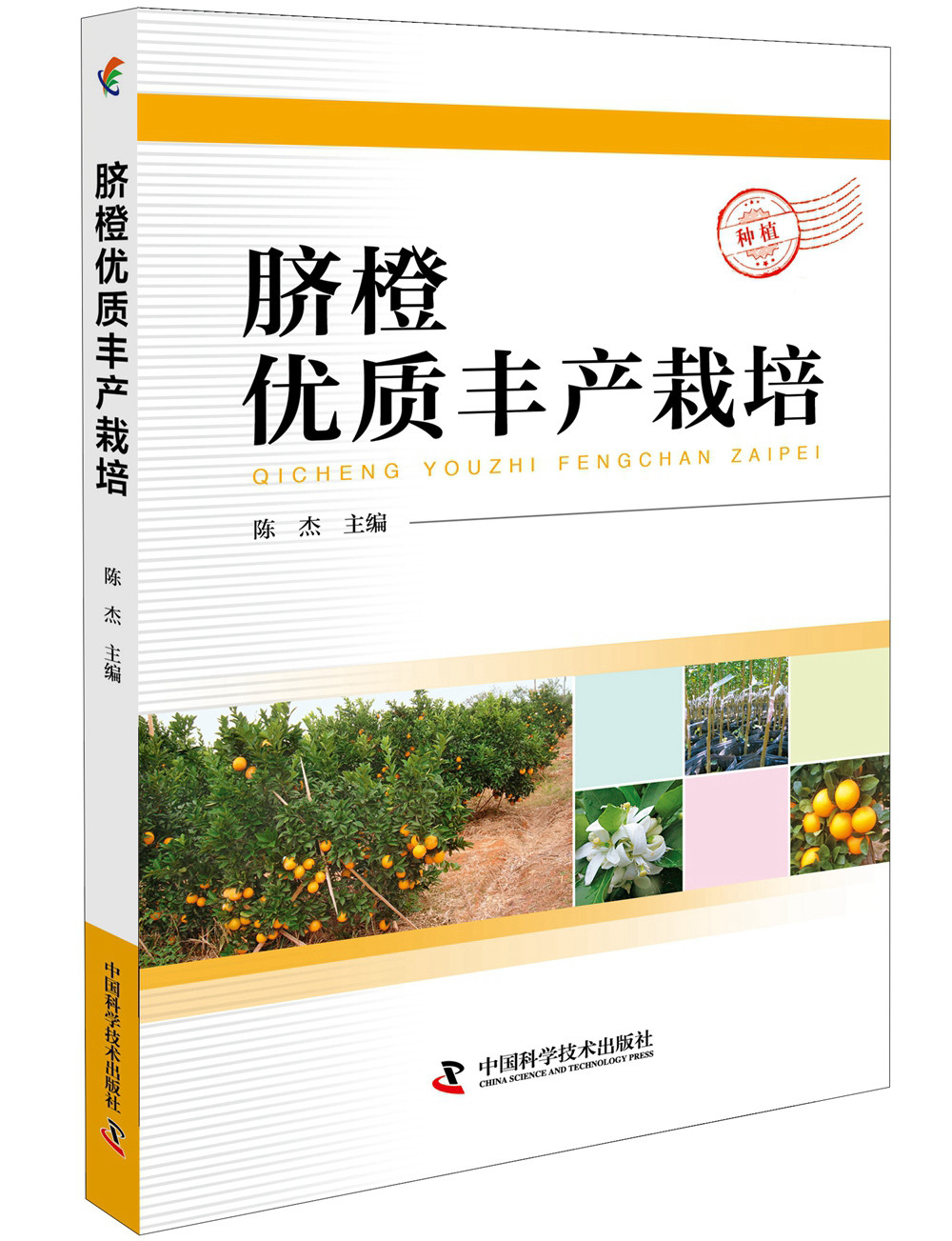 脐橙优质丰产栽培