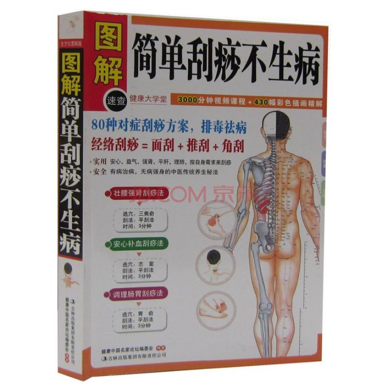 图解简单刮痧不生病 中医养生刮痧艾灸经络按摩美容疗法治百病书籍