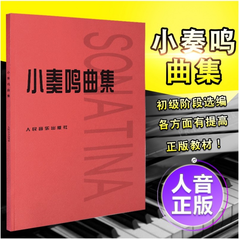 小奏鸣曲集人民音乐出版社小奏鸣曲集钢琴书初级钢琴曲集钢琴谱奏鸣曲音乐教程钢琴教材青少年儿童