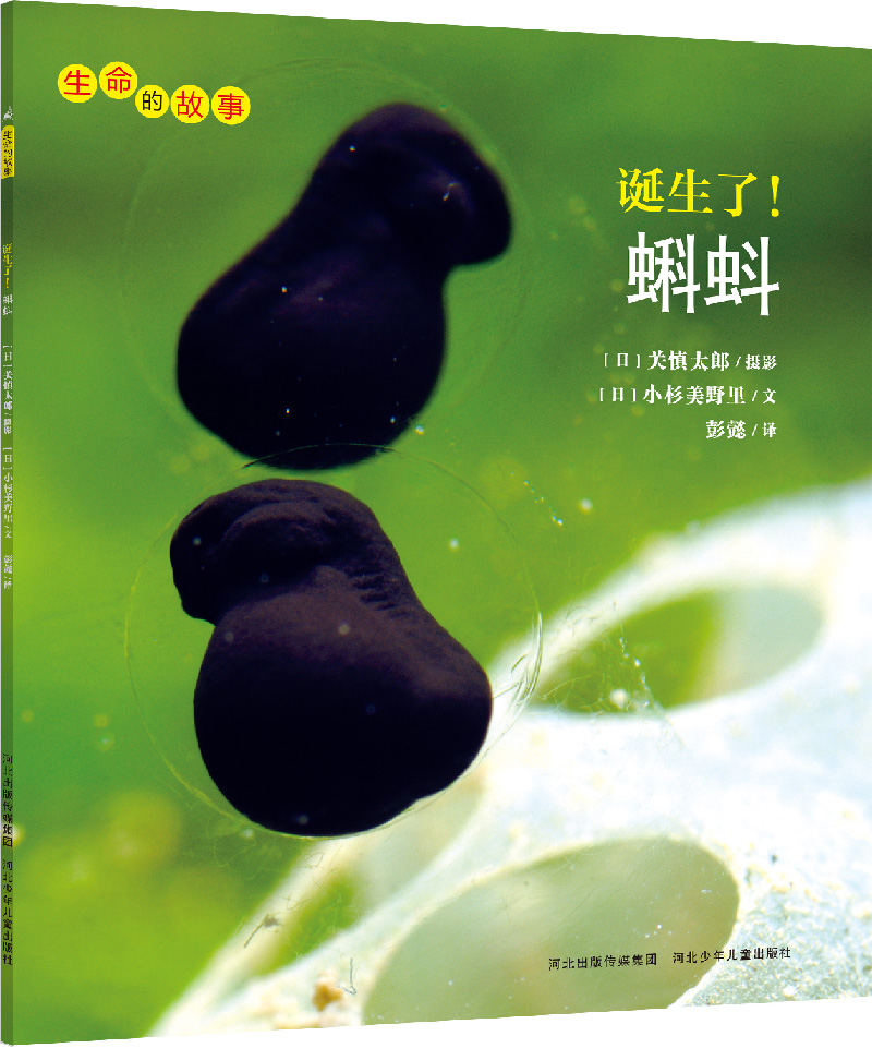生命的故事：诞生了蝌蚪