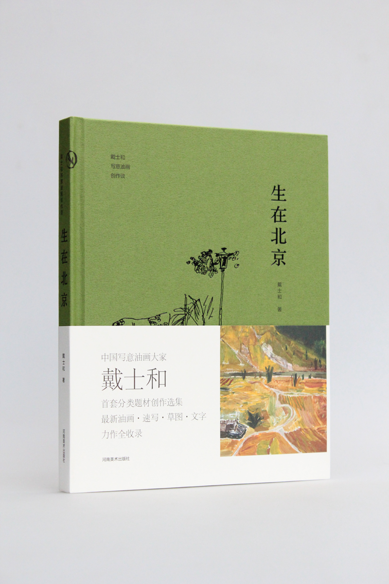 戴士和写意油画创作谈：生在北京 河南美术 9787540140700 戴士和