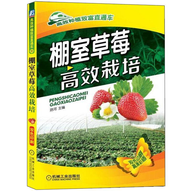 棚室草莓高效栽培路河草莓育苗技术栽培管理无土栽培模式参考常见病虫害及防治用书草莓棚室栽培技术参考有机草莓栽培技术书