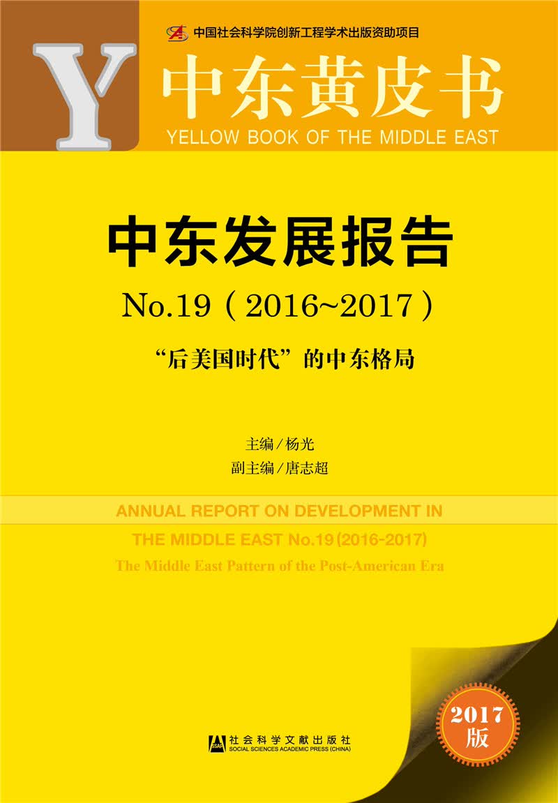 皮书系列·中东黄皮书：中东发展报告 No.19（2016-2017）