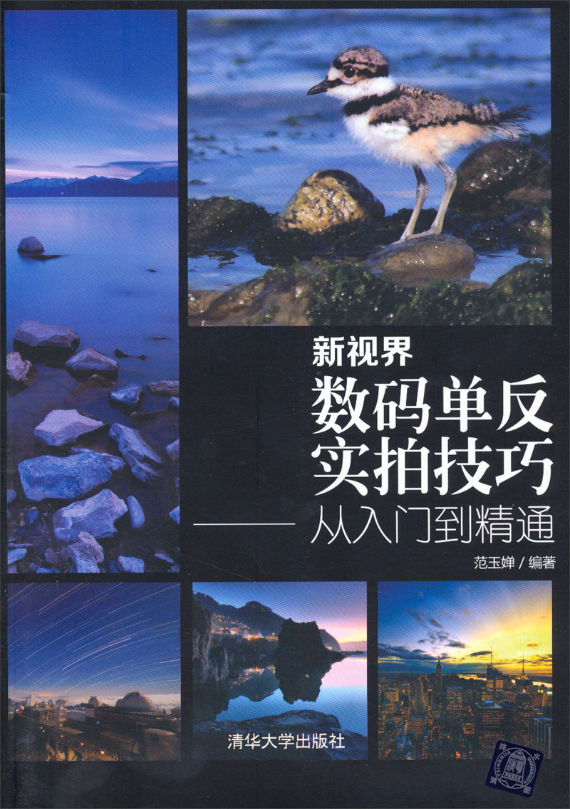 新视界：数码单反实拍技巧从入门到精通（附光盘）
