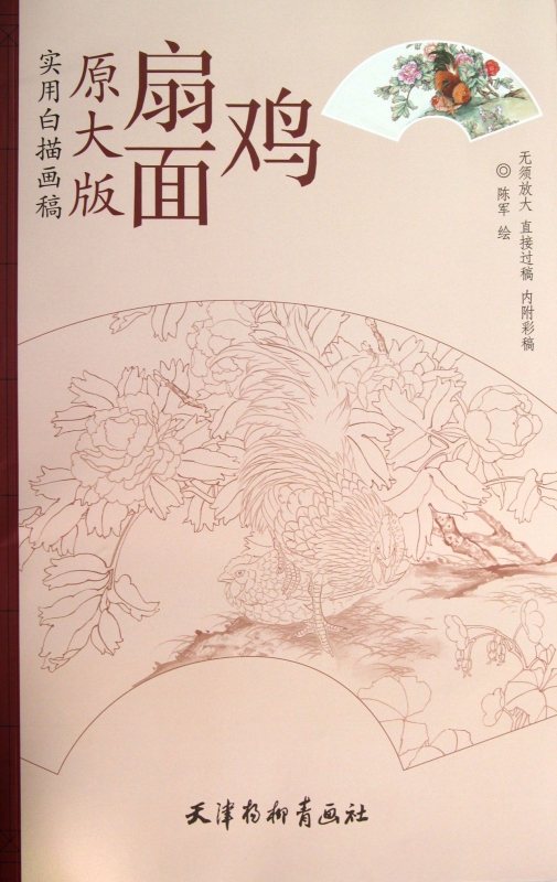 扇面鸡(原大版实用白描画稿)
