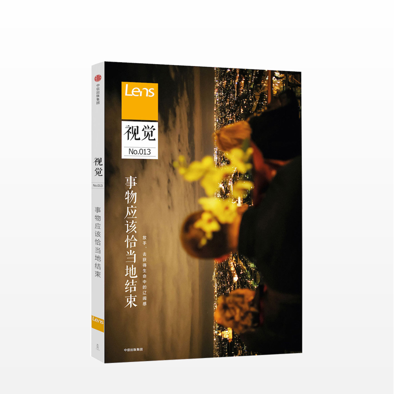 视觉013 事物应当恰当地结束 Lens 出品中信出版社图书