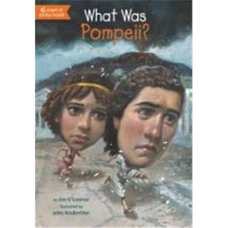 What Was Pompeii?