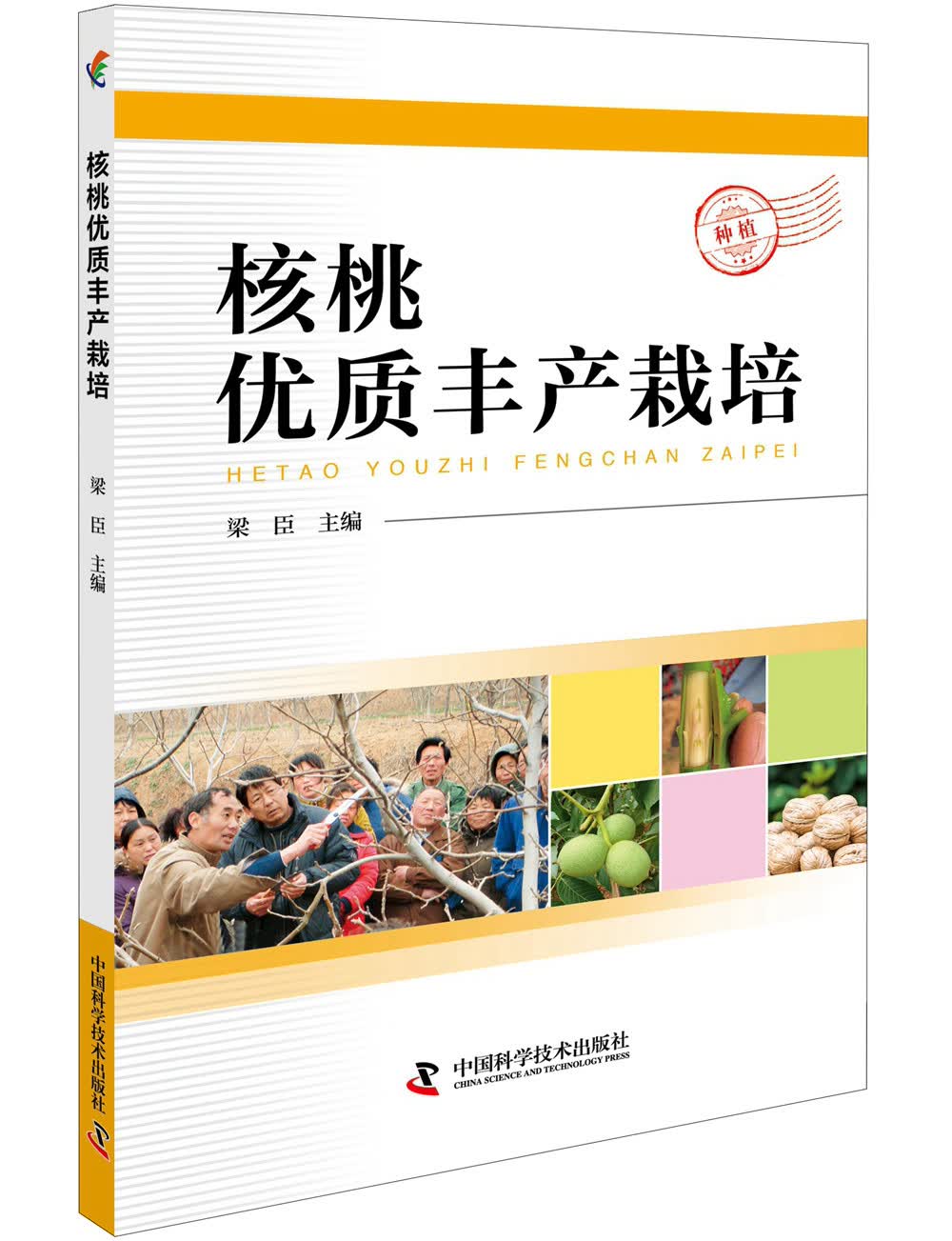 核桃优质丰产栽培 农艺学 核桃丰产栽培