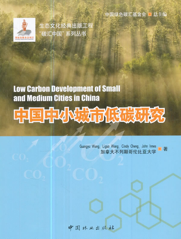 中国中小城市低碳研究