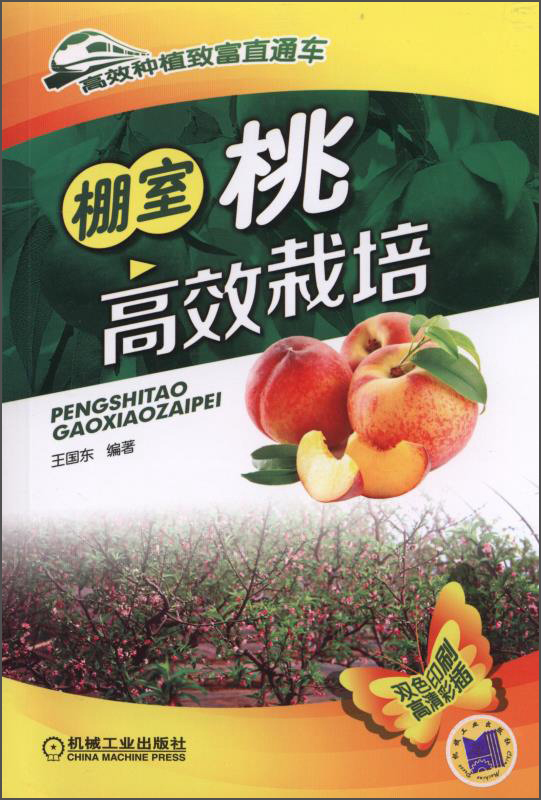 高效种植致富直通车：棚室桃高效栽培