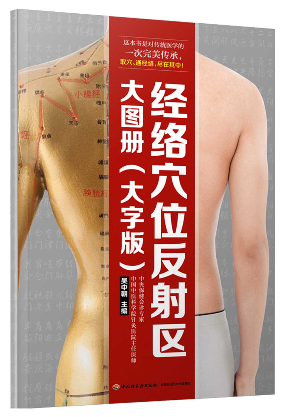 经络穴位反射区大图册（大字版）