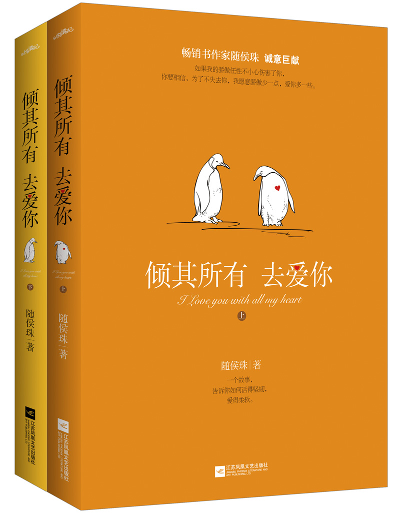 倾其所有去爱你（套装上下册）
