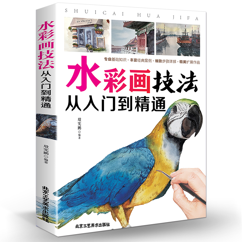 水彩画技法从入门到精通 水彩画基础知识教程 水彩书籍入门自学零基础绘画书籍
