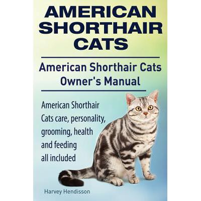 American Shorthair Cats. American Shorthair ...