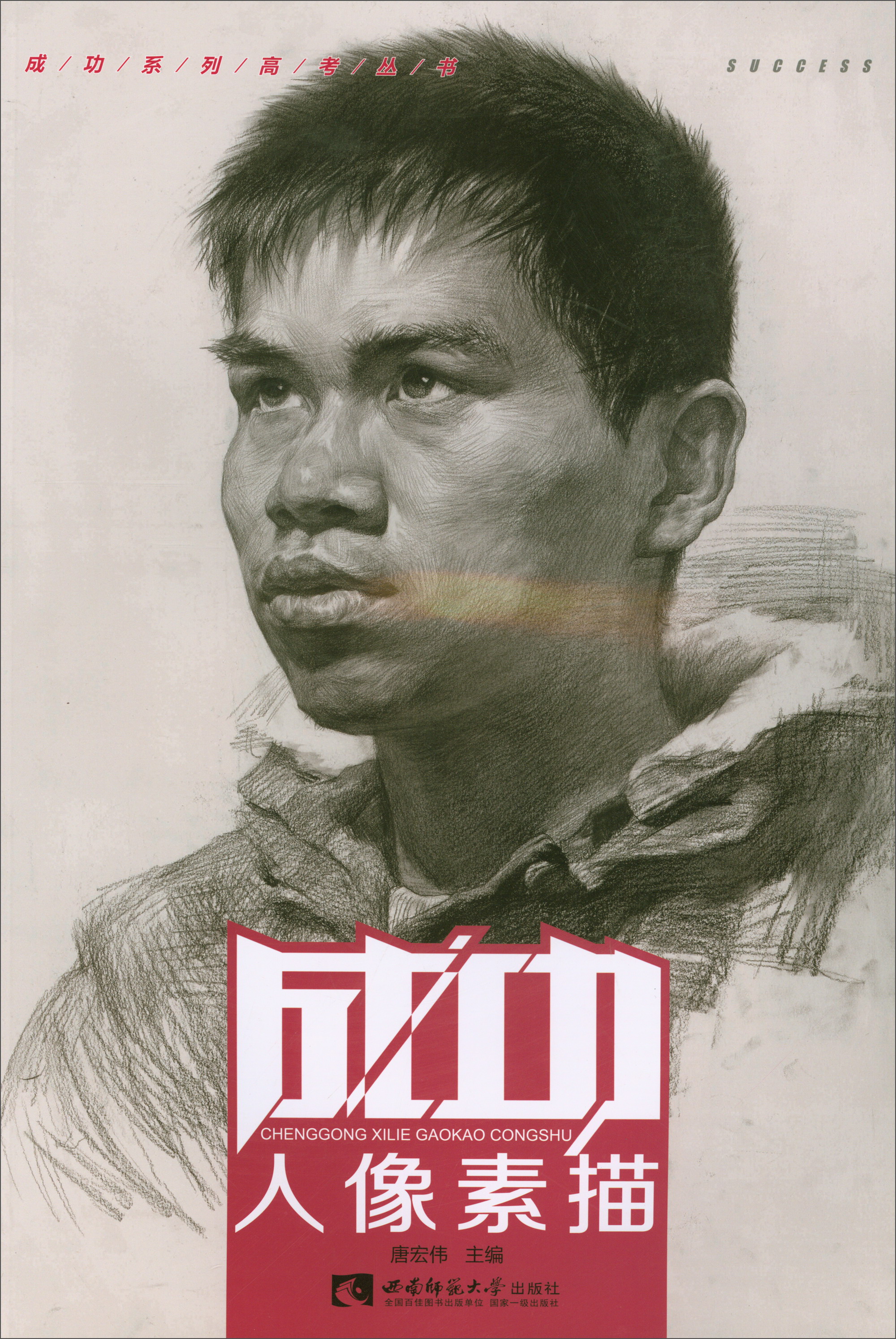 人像素描/成功系列高考丛书
