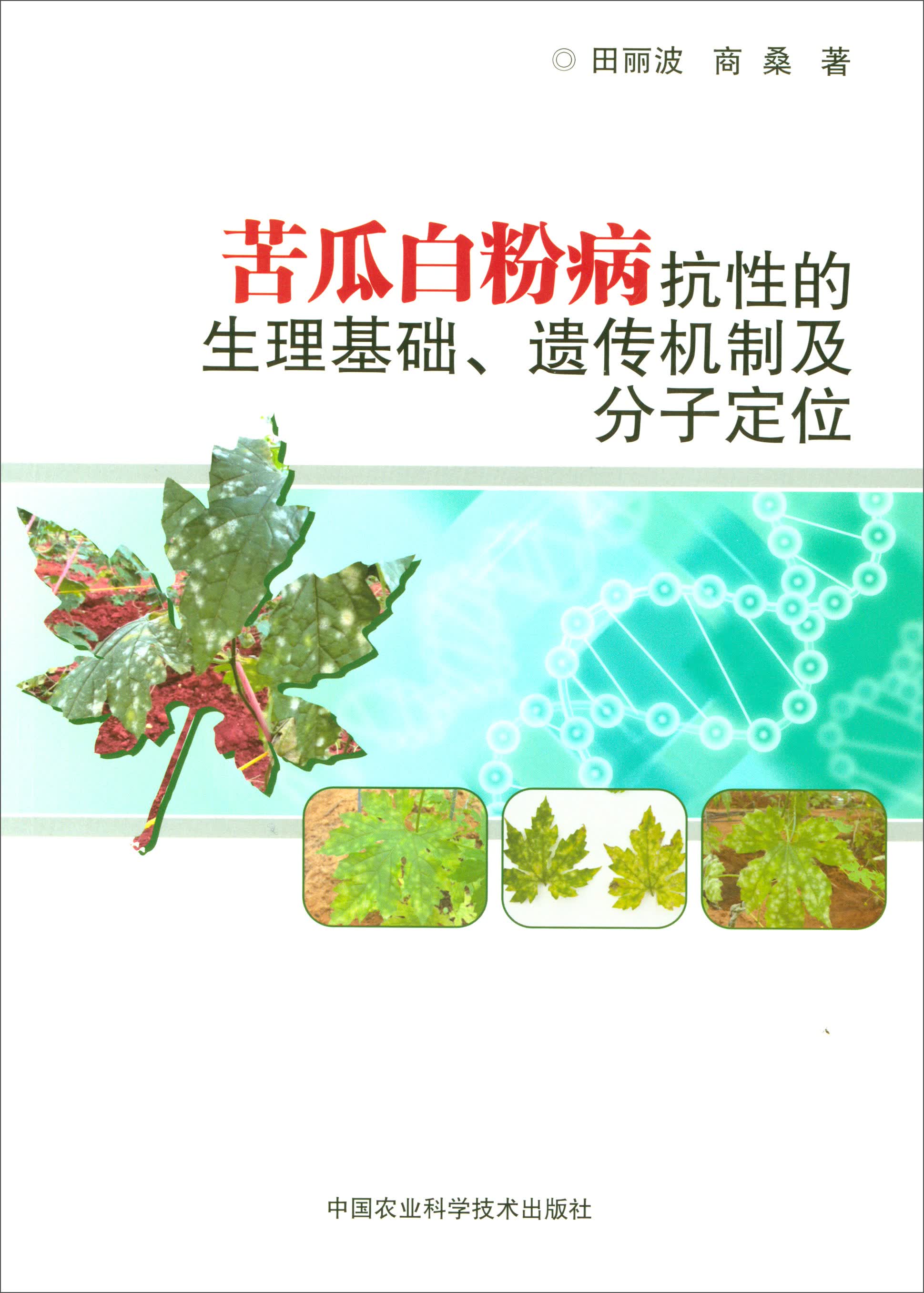 苦瓜白粉病抗性的生理基础、遗传机制及分子定位