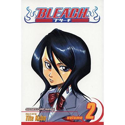 Bleach, Vol. 2, Volume 2