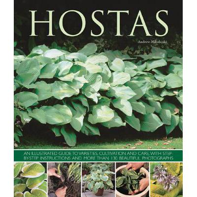 Hostas: an Illustrated Guide to Varieties, C...