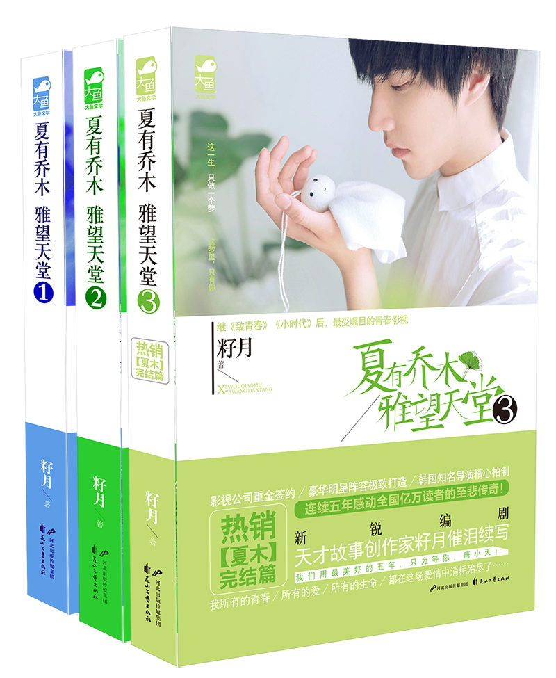 《夏有乔木 雅望天堂》（套装共三册）