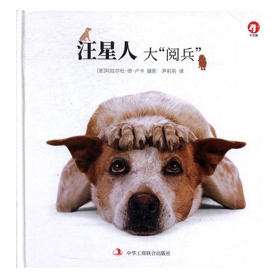 汪星人大“阅兵” 书籍 家居 宠物