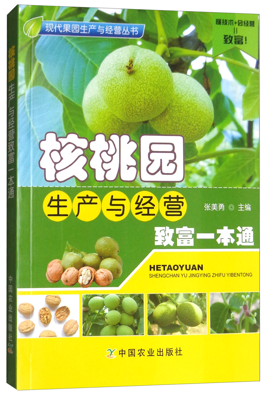 核桃园生产与经营致富一本通/现代果园生产与经营丛书
