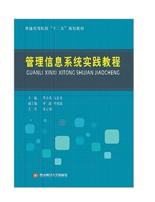（包邮）管理信息系统实践教程9787550419186