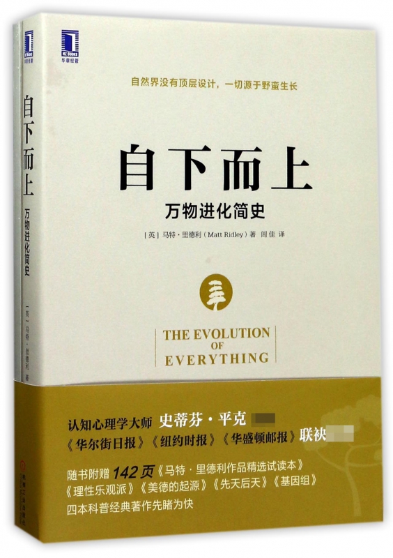 自下而上(万物进化简史)