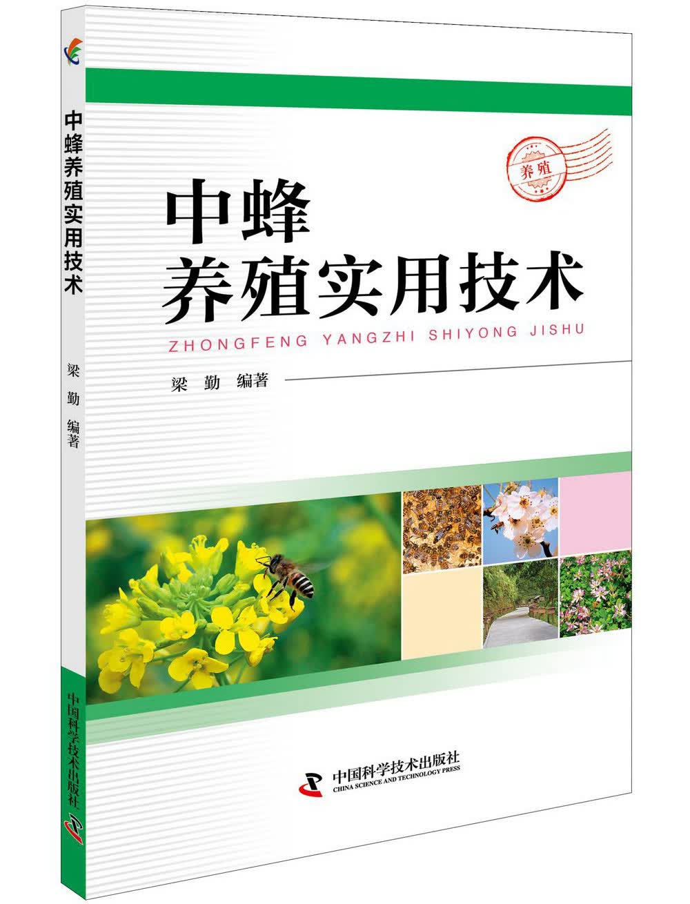 中蜂养殖实用技术