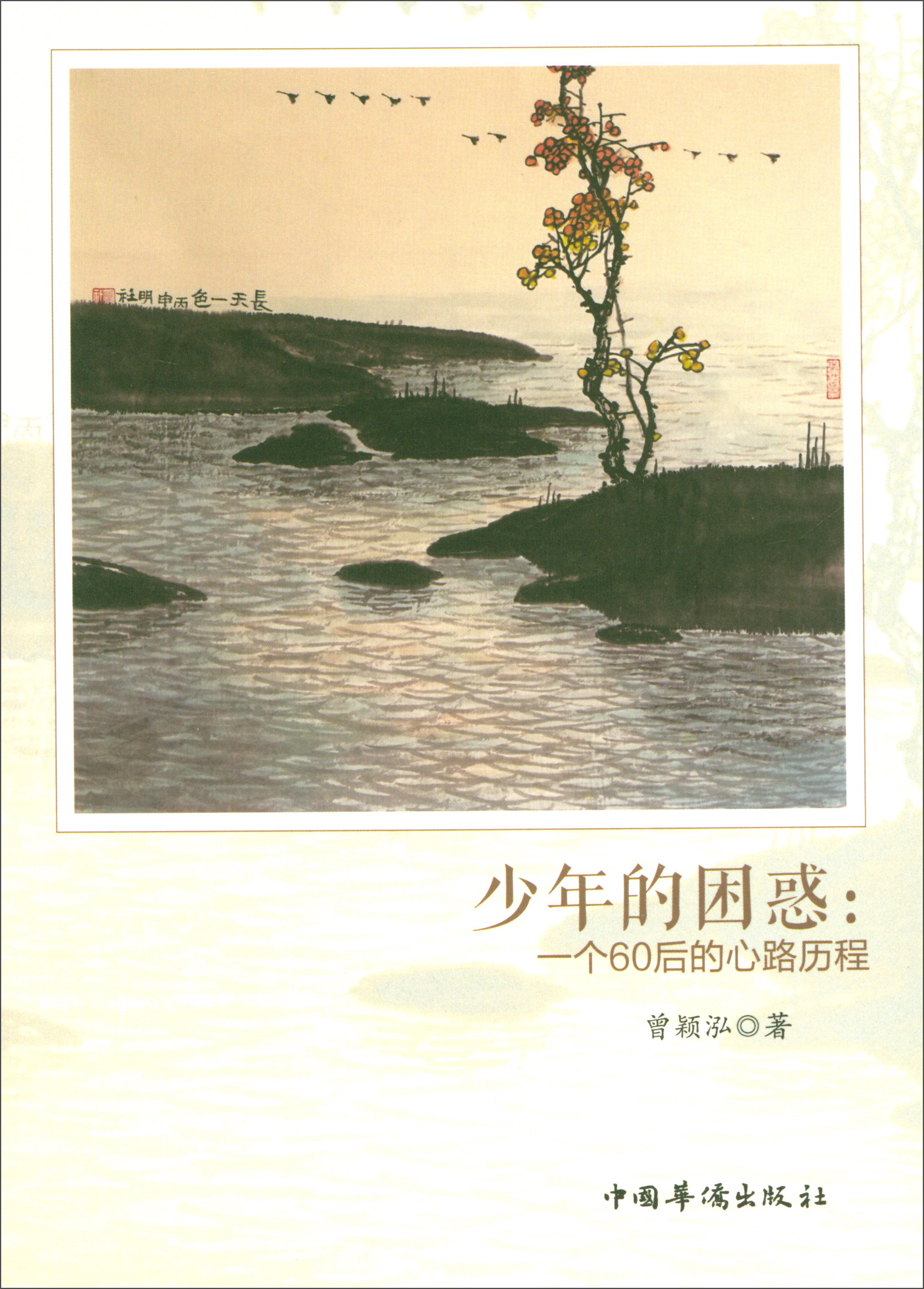 少年的困惑：一个60后的心路历程
