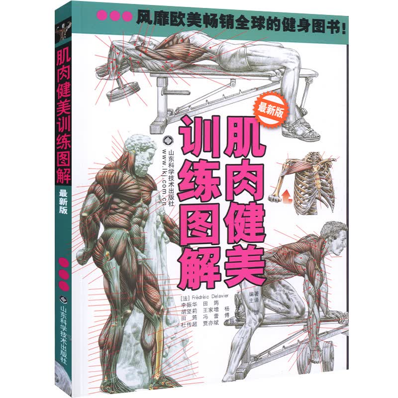 肌肉健美训练图解 男性肌肉训练型健美图详解 肌腱拉伸肌肉塑造健身教练大全书籍