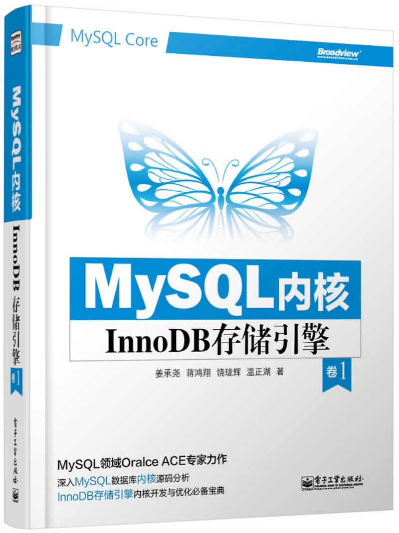 MySQL内核：InnoDB存储引擎（卷1）(博文视点出品)