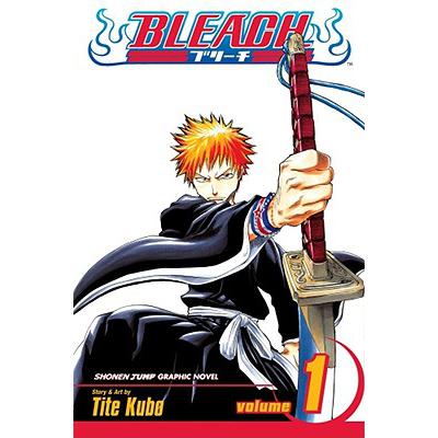 Bleach, Vol. 1: Volume 1