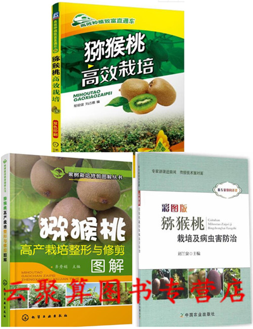 猕猴桃栽培种植技术大全书籍 彩图版猕猴桃栽培及病虫害防治诊断治疗+猕猴桃高产栽培整形与修剪 书籍