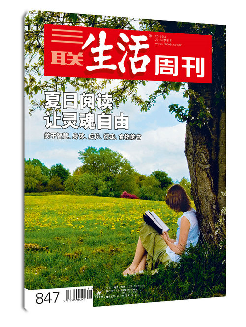 三联生活周刊（2015年第31期）