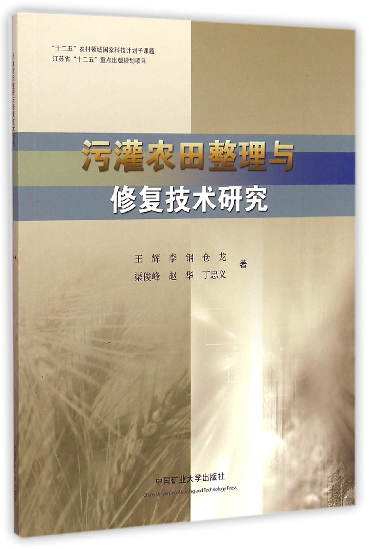 污灌农田整理与修复技术研究