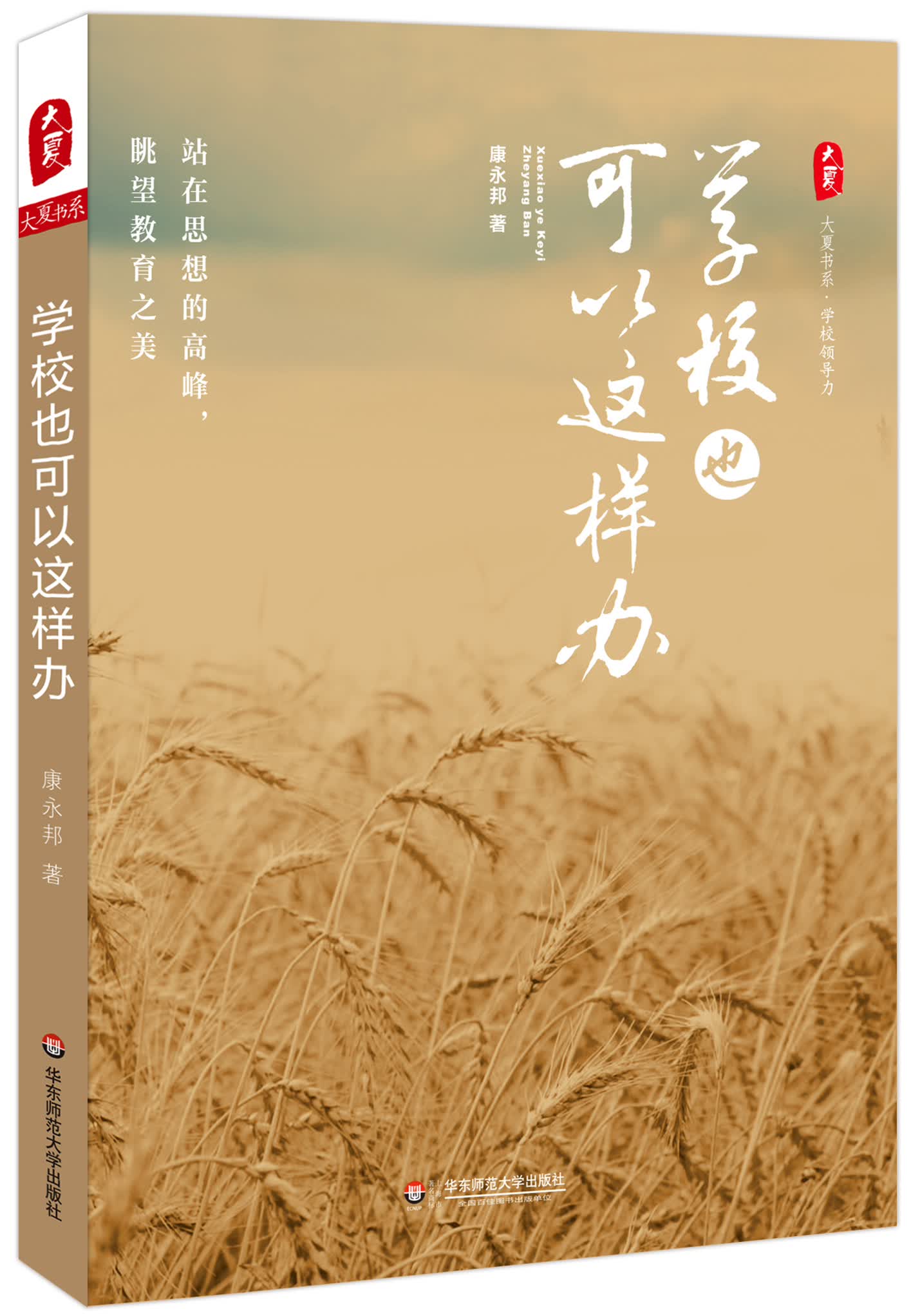 学校也可以这样办 大夏书系