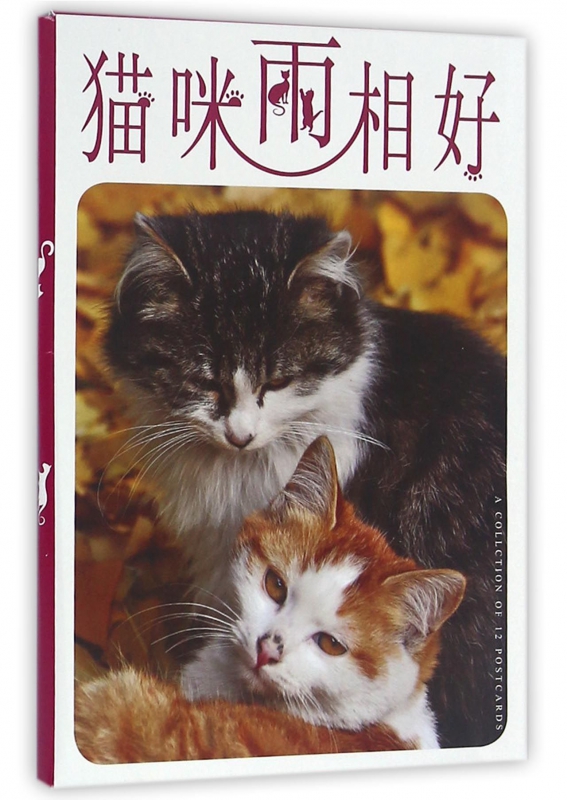 猫咪两相好(明信片)