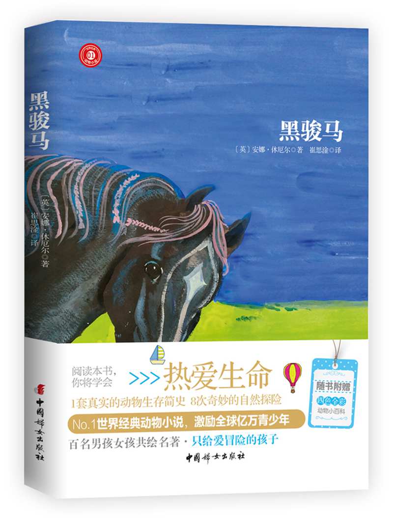 黑骏马