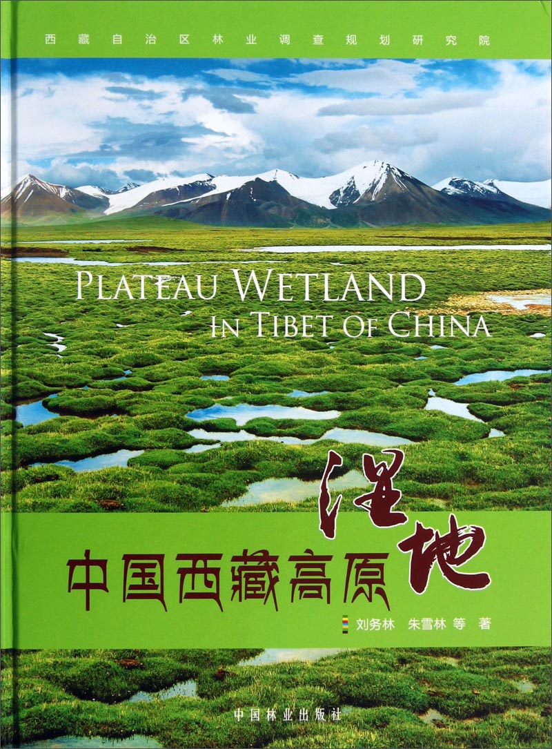 中国西藏高原湿地