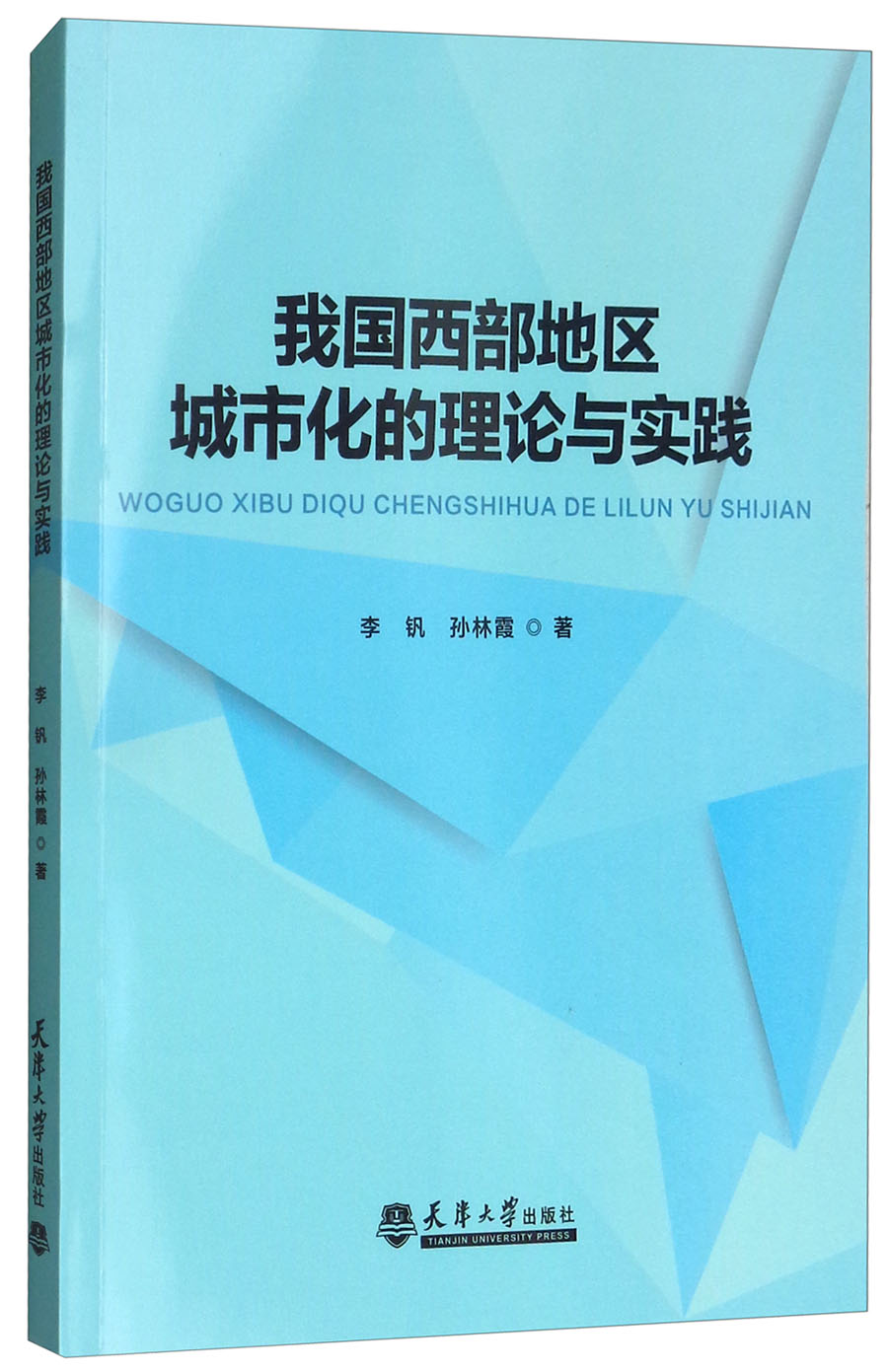 我国西部地区城市化的理论与实践