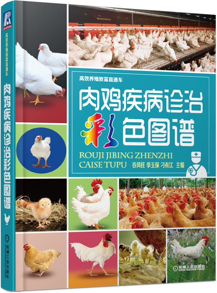 高效养殖致富直通车：肉鸡疾病诊治彩色图谱