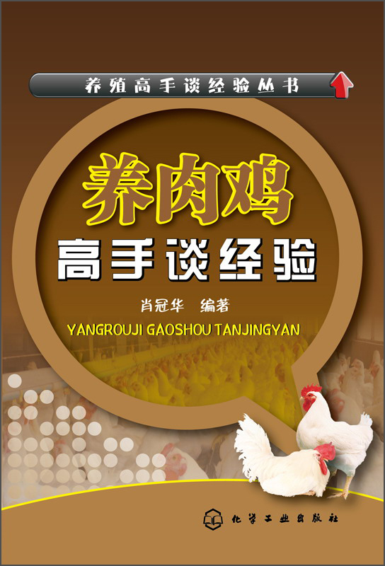 养肉鸡高手谈经验