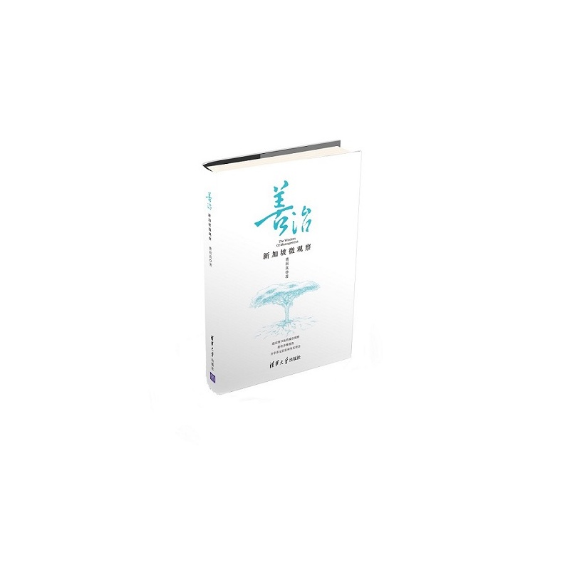 善治-新加坡微观察