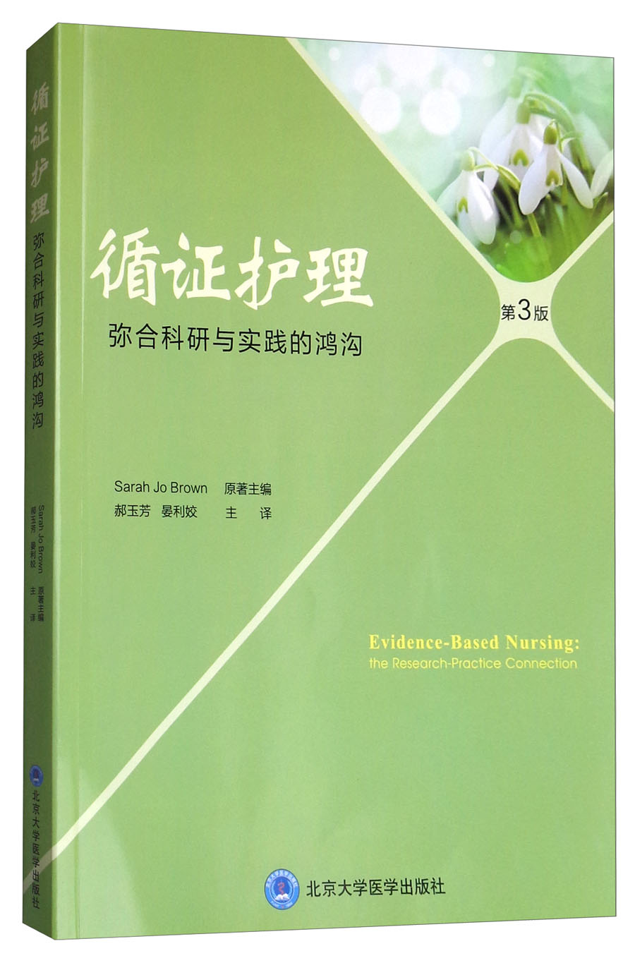 循证护理：弥合研究与实践的鸿沟（第3版）
