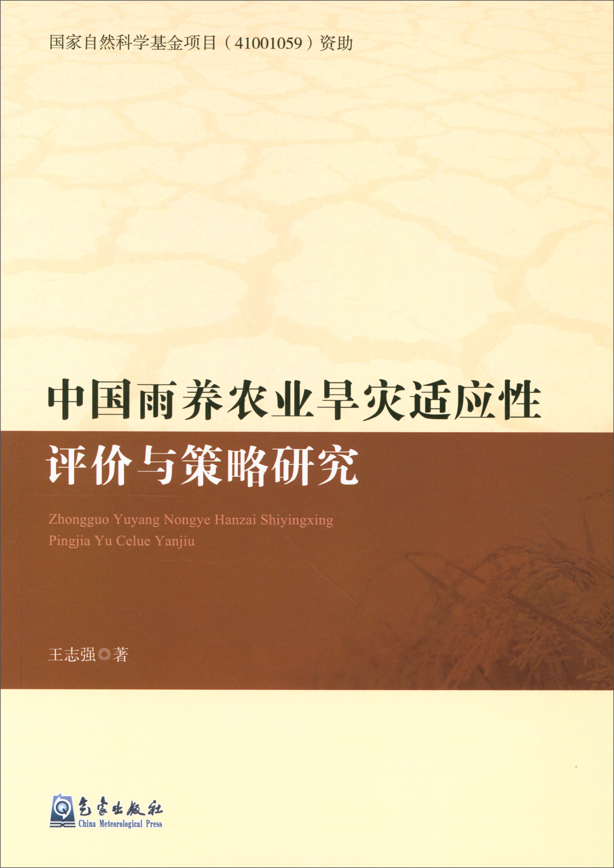 中国雨养农业旱灾适应性评价与策略研究