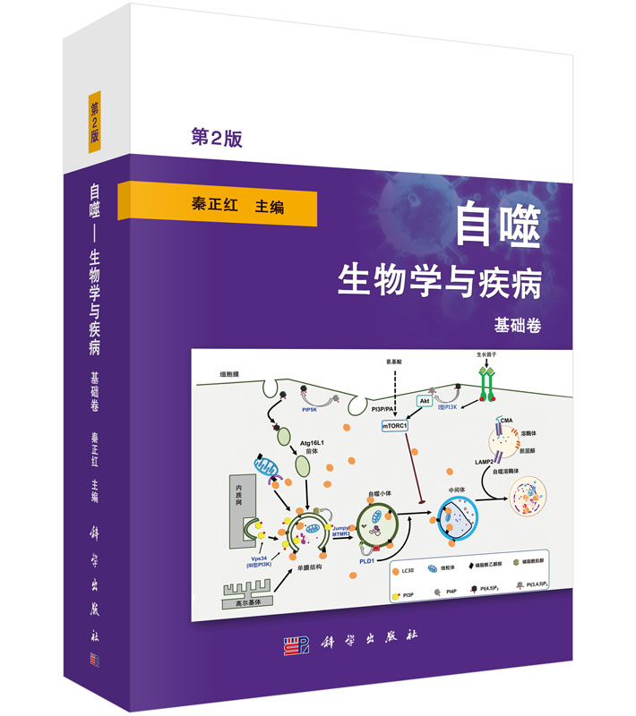 自噬：生物学与疾病（基础卷 第2版）