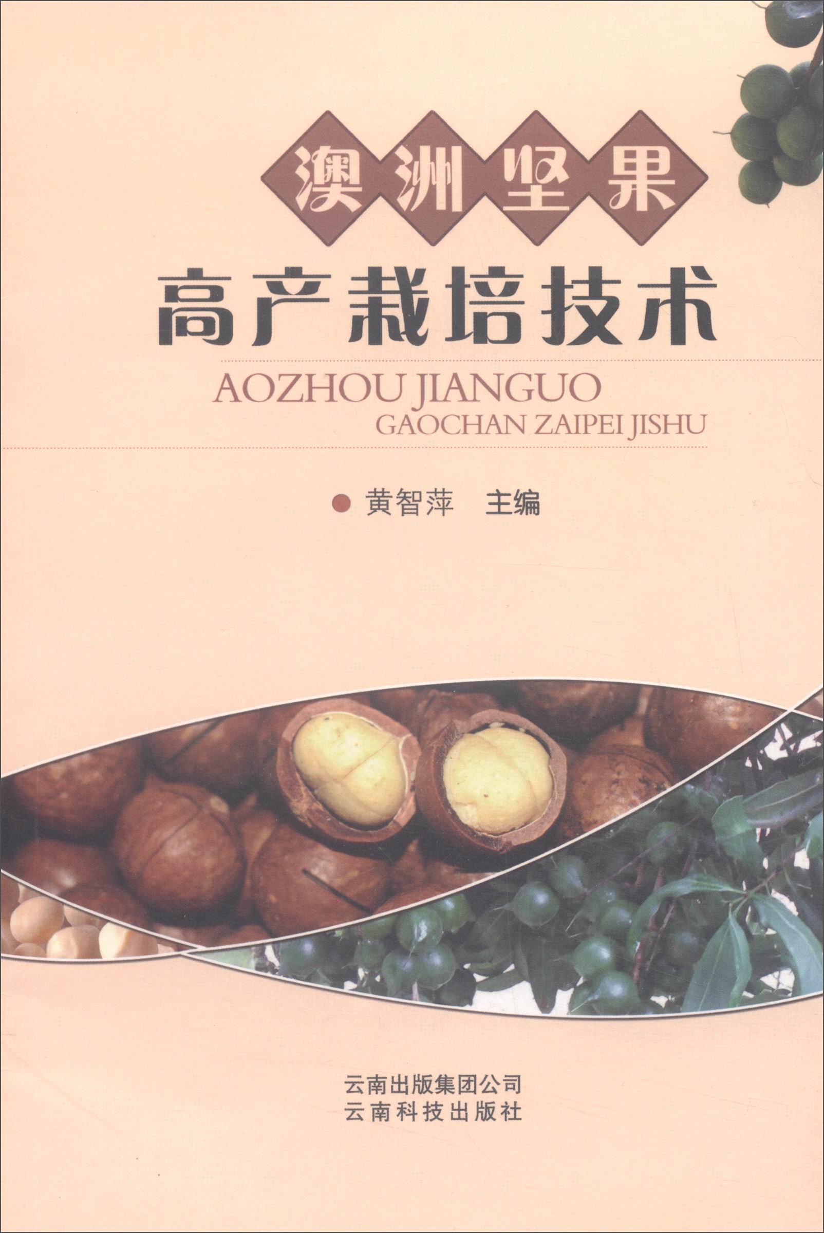 澳洲坚果高产栽培技术